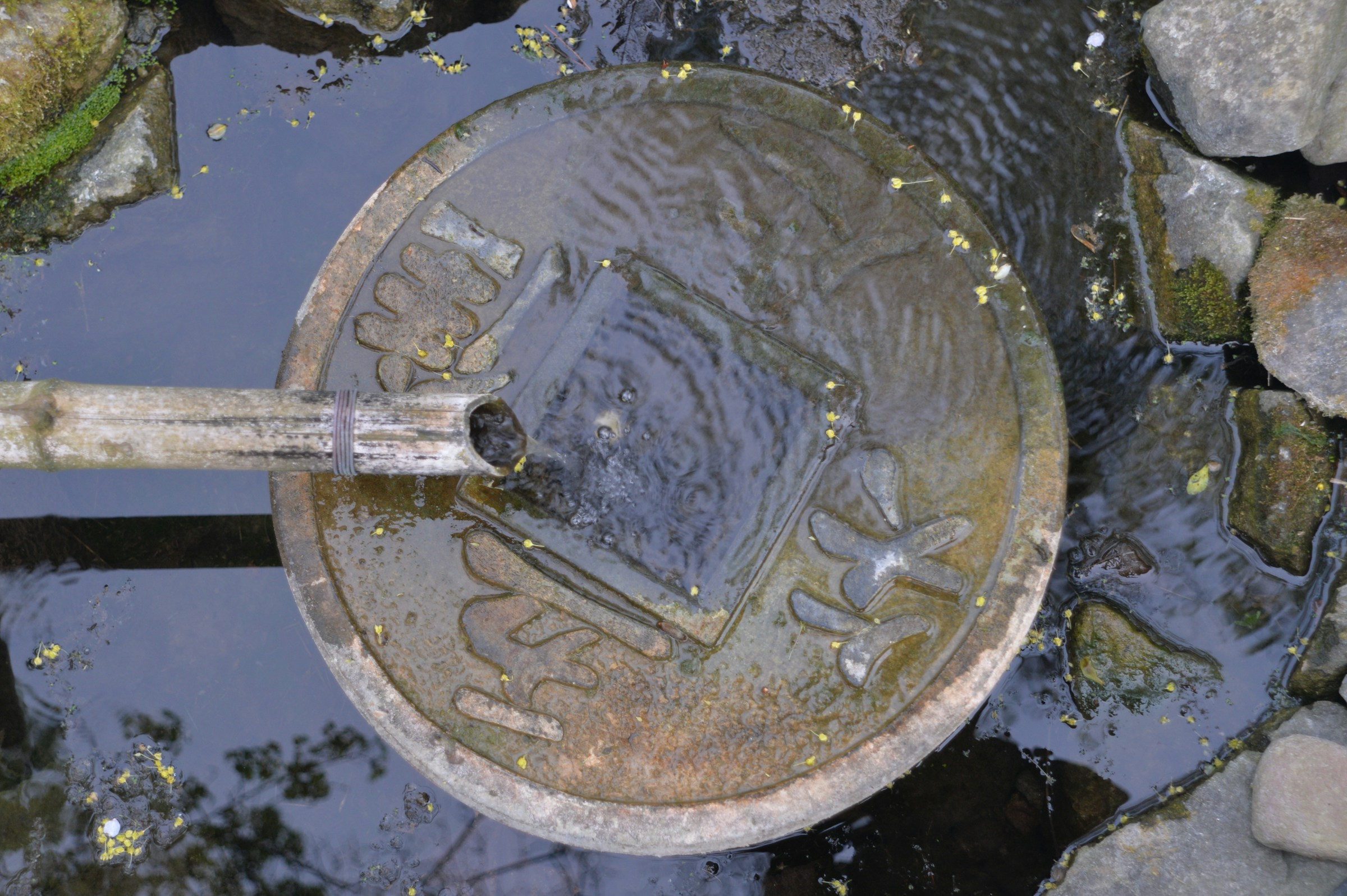 Septic Tank Regulations UK 2026: Complete Compliance Guide by ...