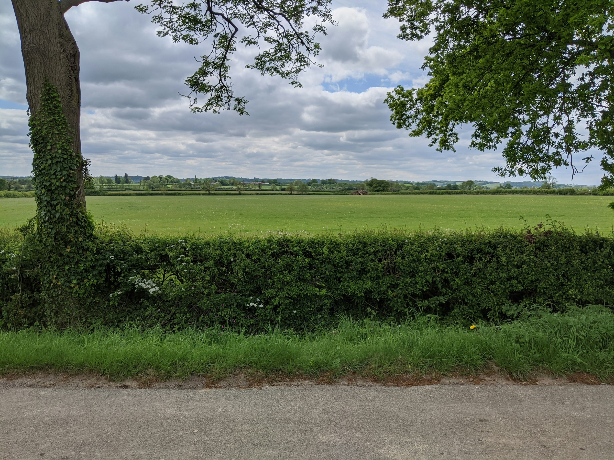 Rural Property Boundaries in the UK: Hedges, Walls, and Fences by ...