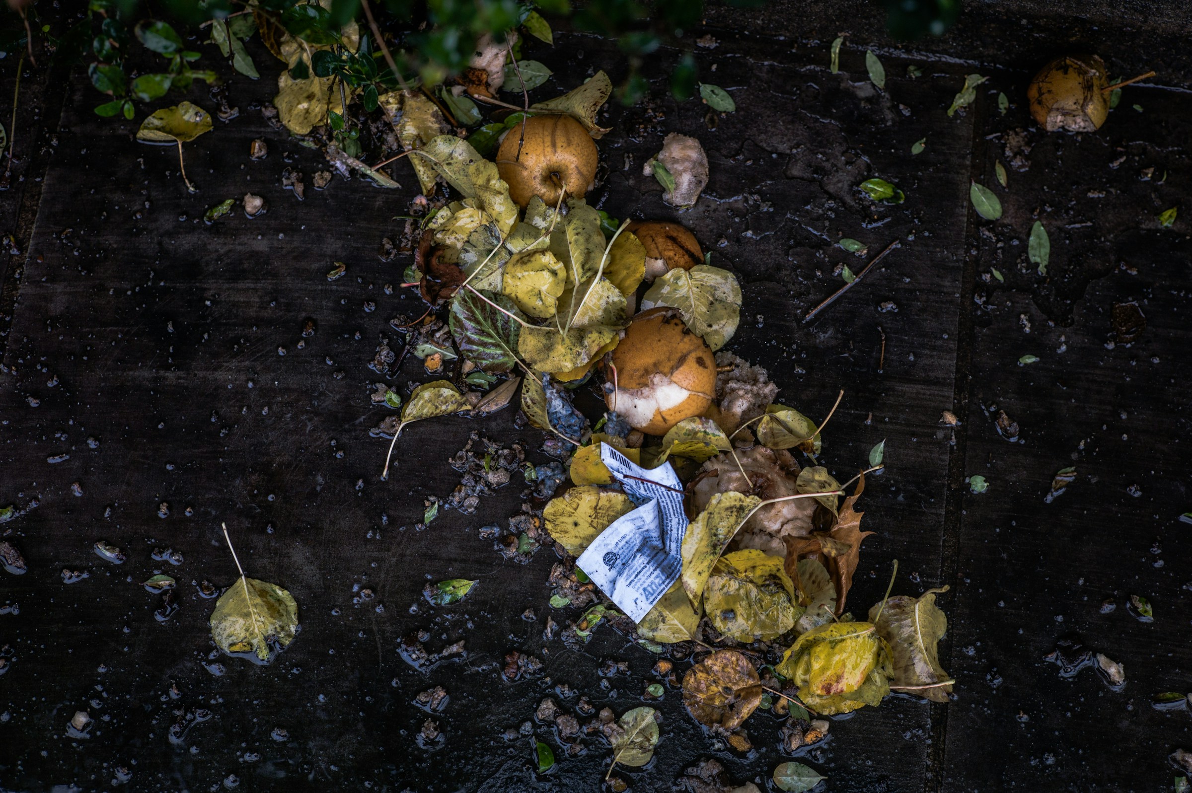 Composting Toilet Systems: Off-Grid Waste Management Solutions by ...