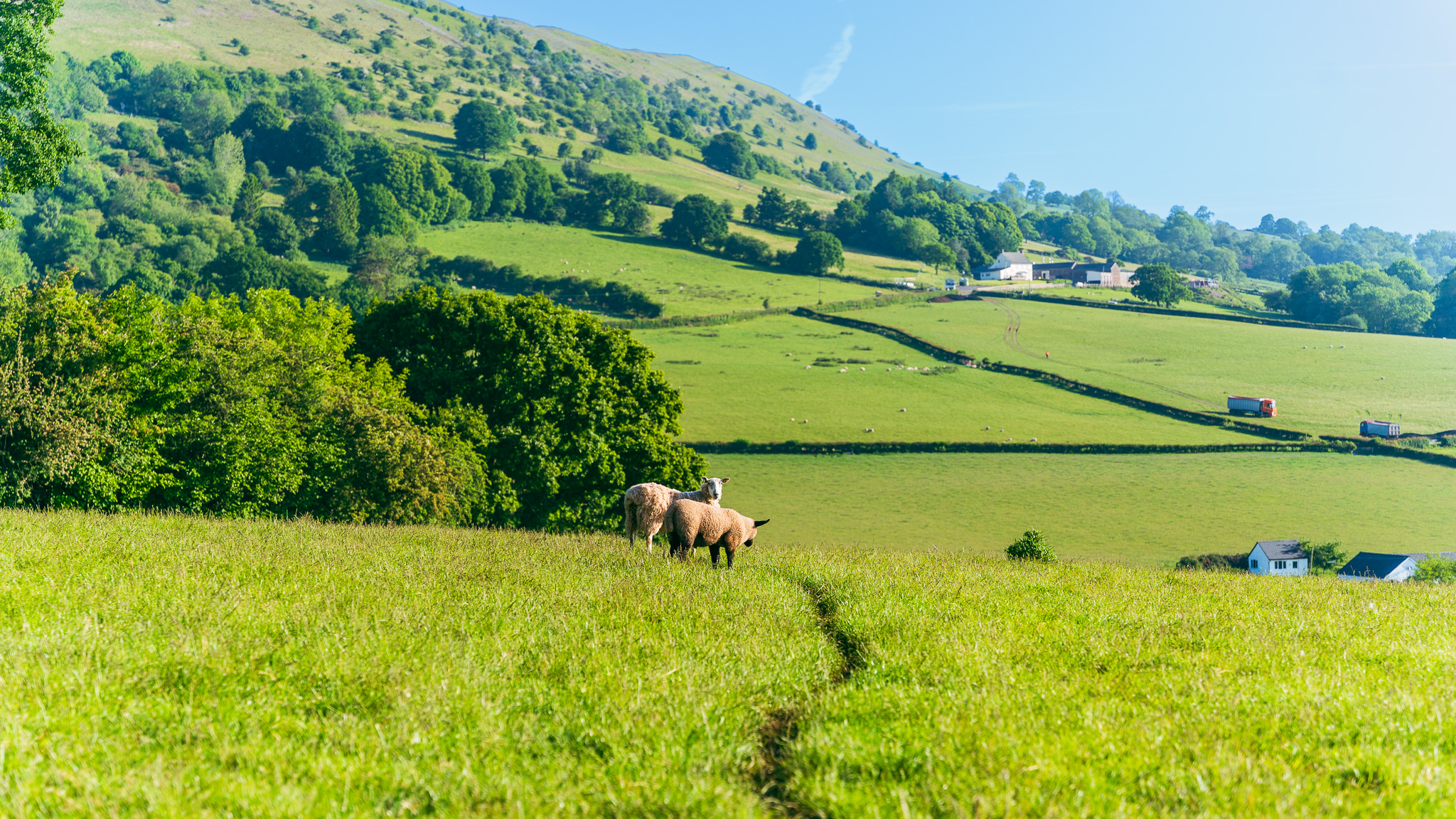 EU Leaders Emphasize the Crucial Role of Rural Areas for Europe's ...