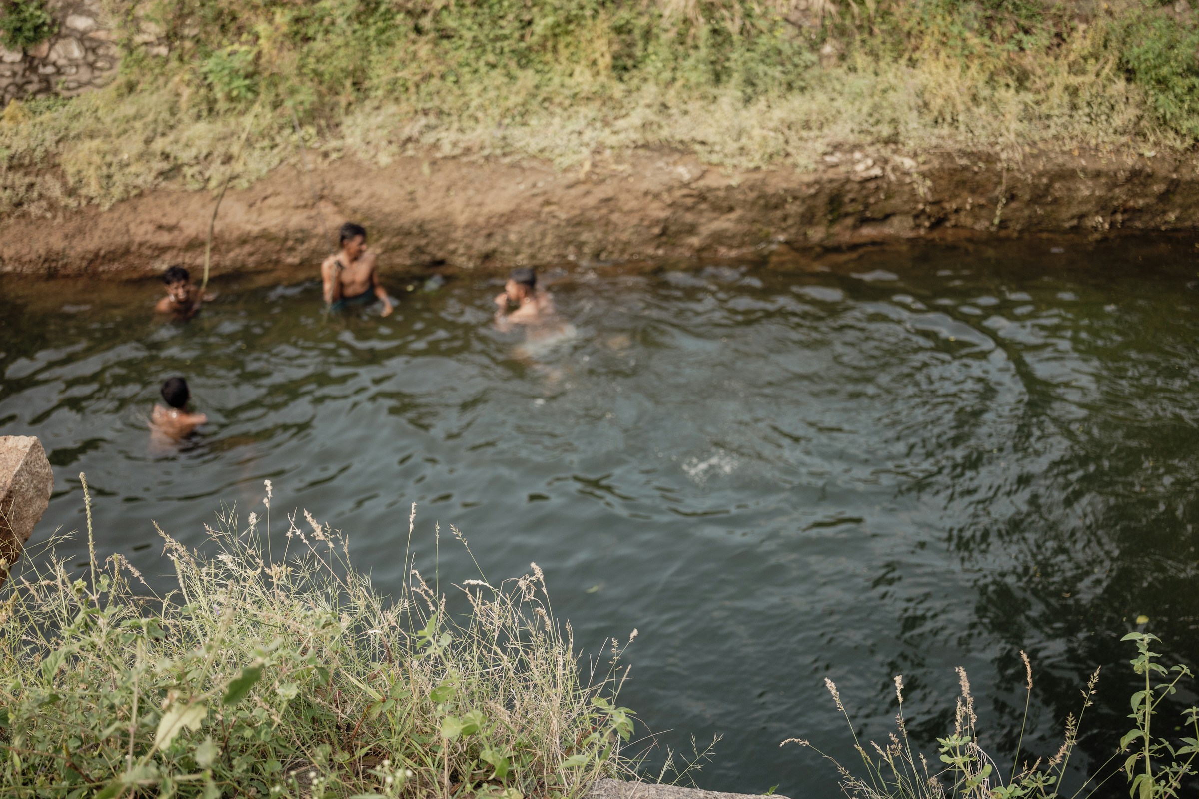 Natural Swimming Pools: Converting Farm Ponds for Recreation by ...