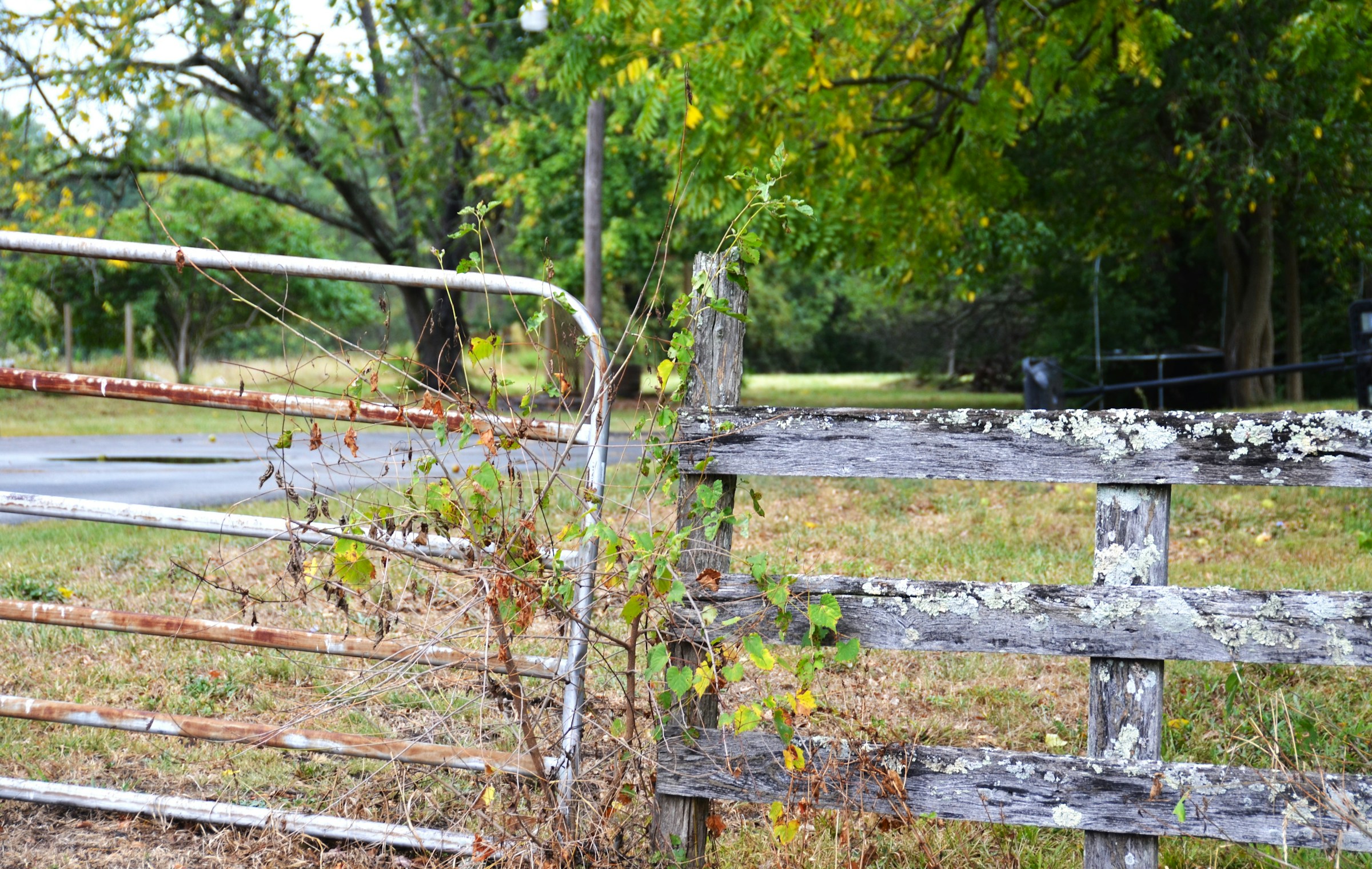 Land Registry Boundaries in Rural Areas: What Rural Property Owners ...